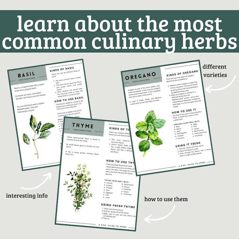 Kids Guide to Herbs Learning Activity, Kids Kitchen Homeschool ...