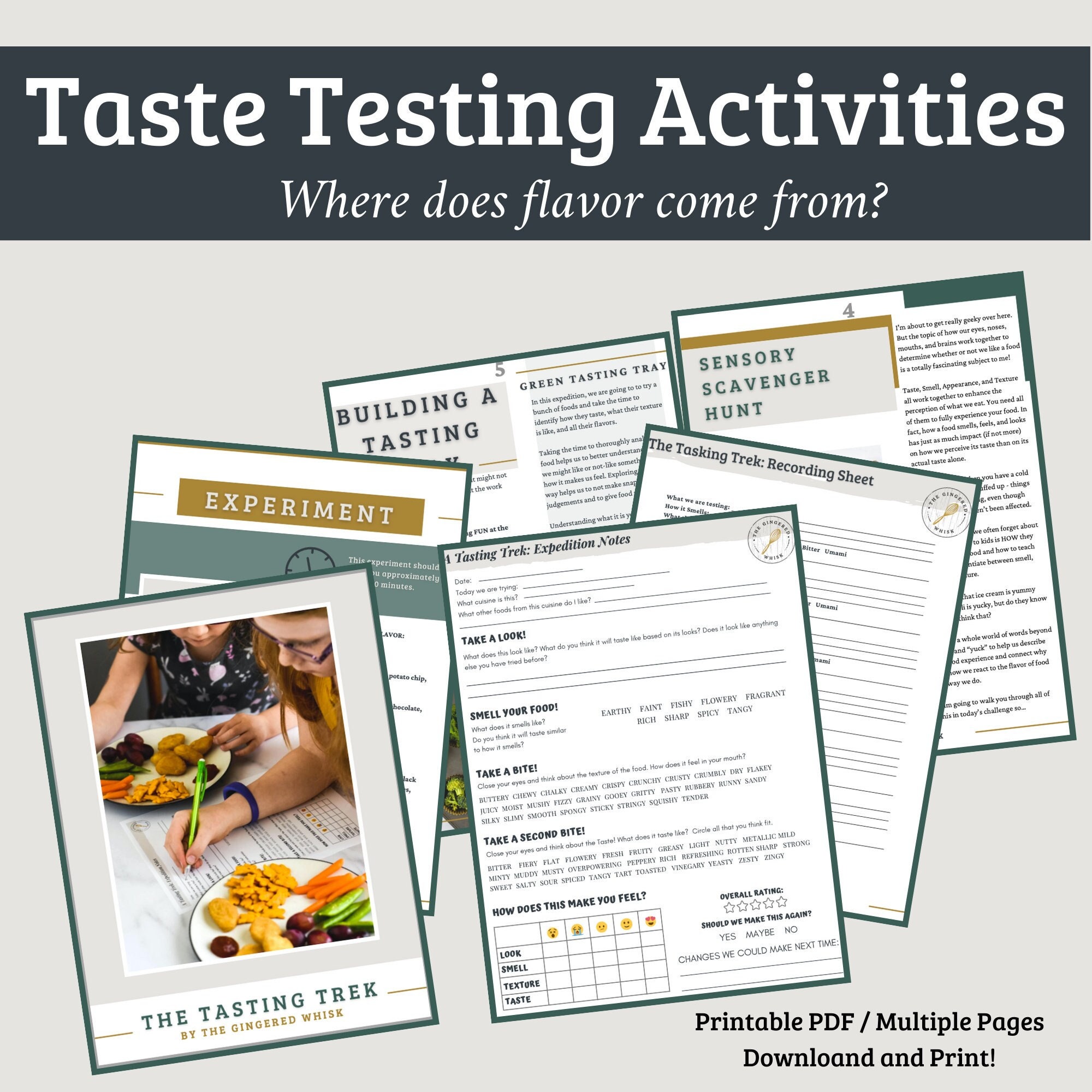 Taste Testing Activities - Kids Flavor Experiment Workshop, Kids ...