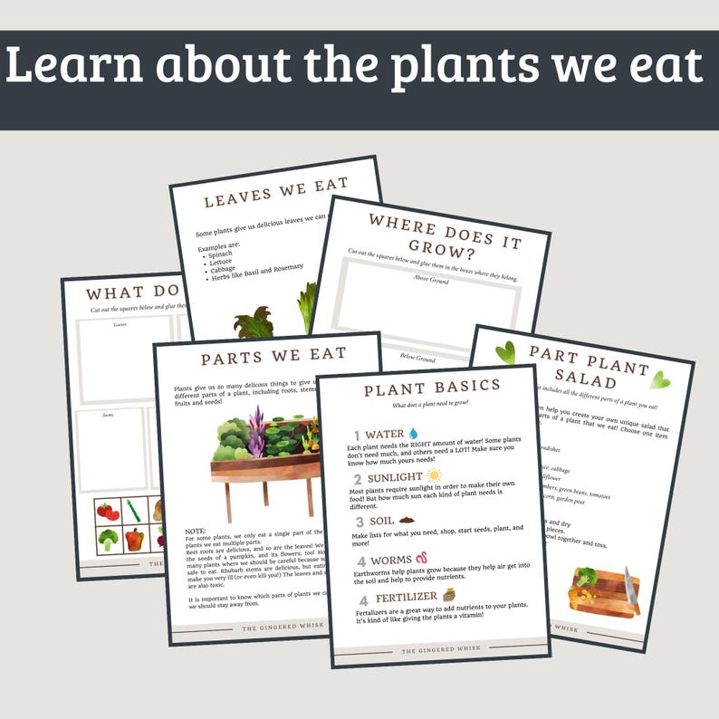 Ultimate Family Vegetable Garden Learning Pack - Seasonal Planner ...