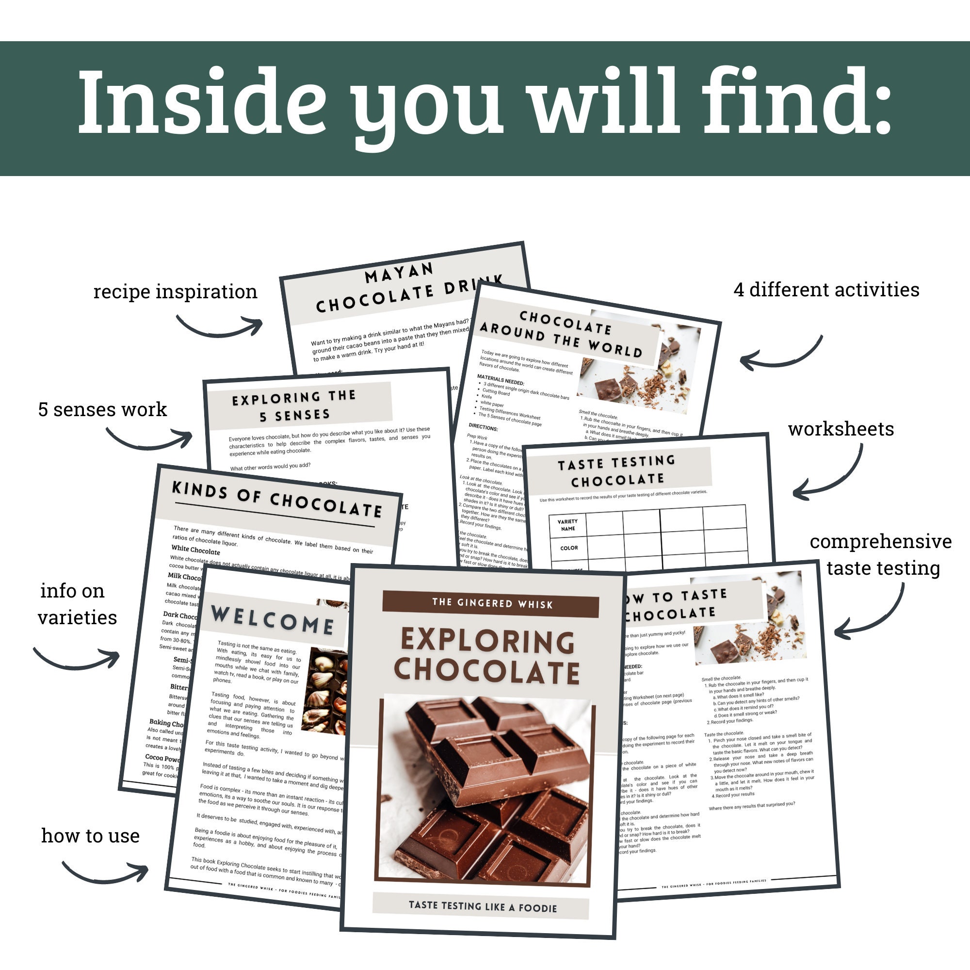 Exploring Chocolate Taste Testing Activity, Foodie Experiment, Family ...