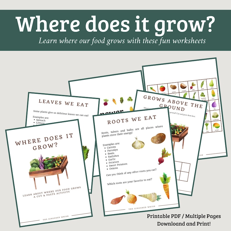 Where Do They Grow Food Sorting Activity Sheets - Etsy