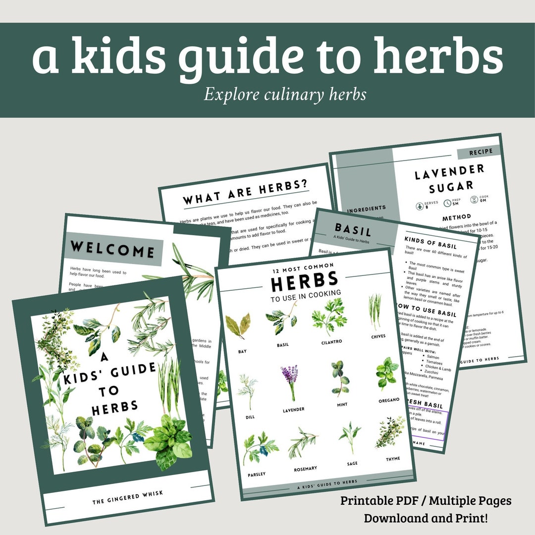 Kids Guide to Herbs Learning Activity, Kids Kitchen Homeschool ...