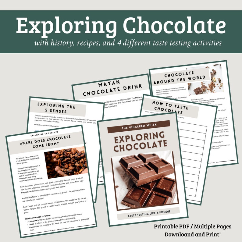 Exploring Chocolate Taste Testing Activity, Foodie Experiment, Family ...