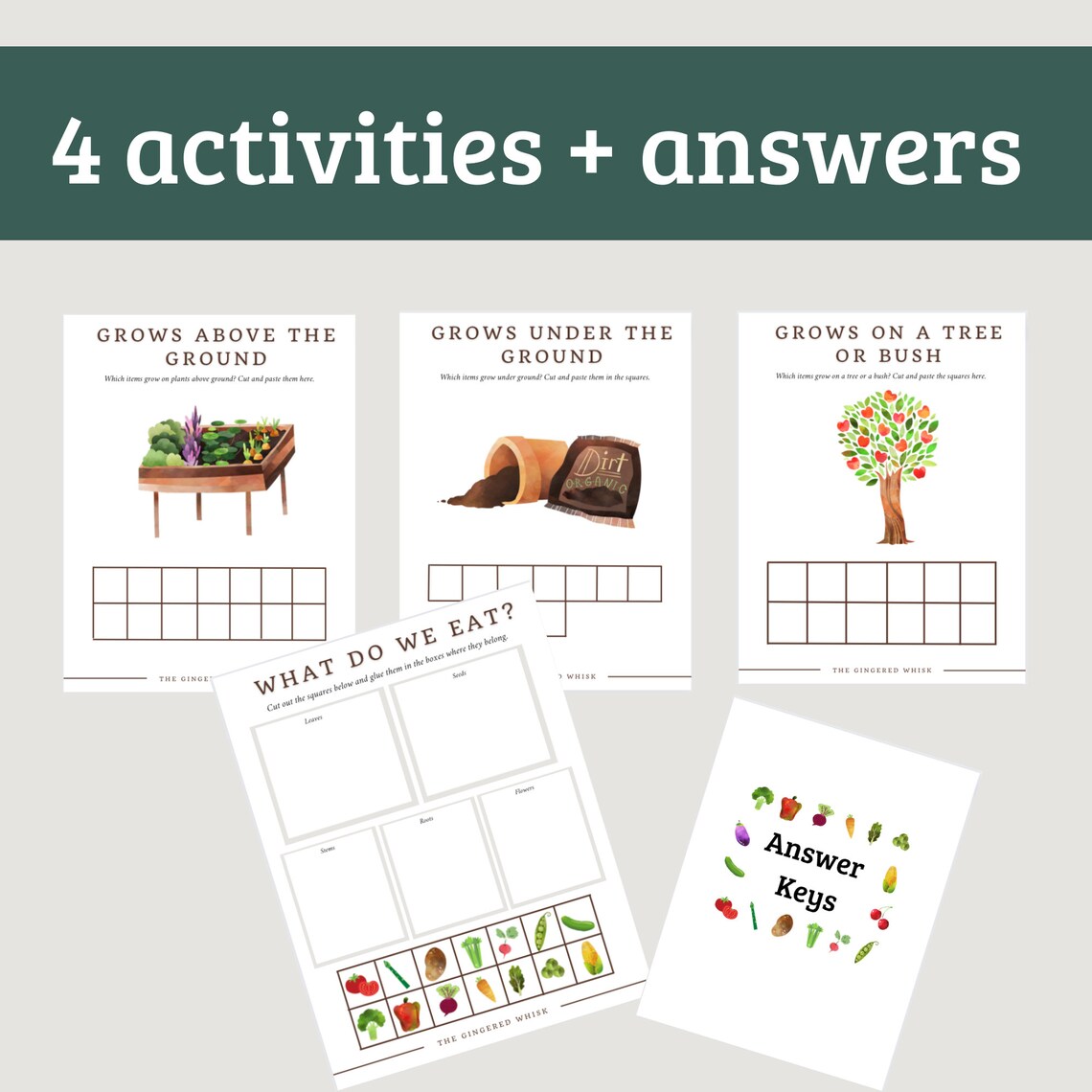 Where Do They Grow Food Sorting Activity Sheets - Etsy