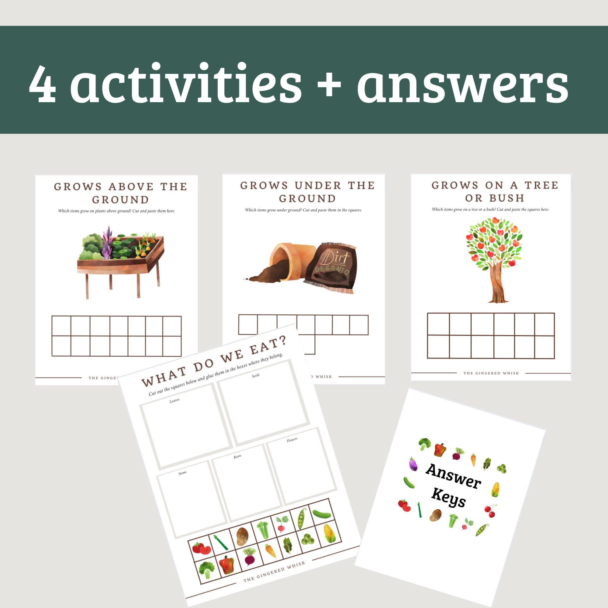 Where Do They Grow Food Sorting Activity Sheets - Etsy