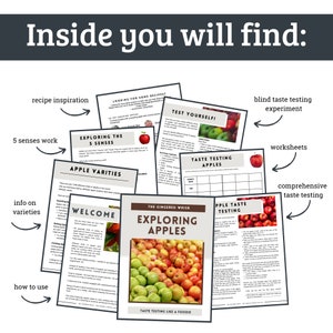 Apple Taste Testing Worksheet, Homeschool Printable, Foodie Experiments ...