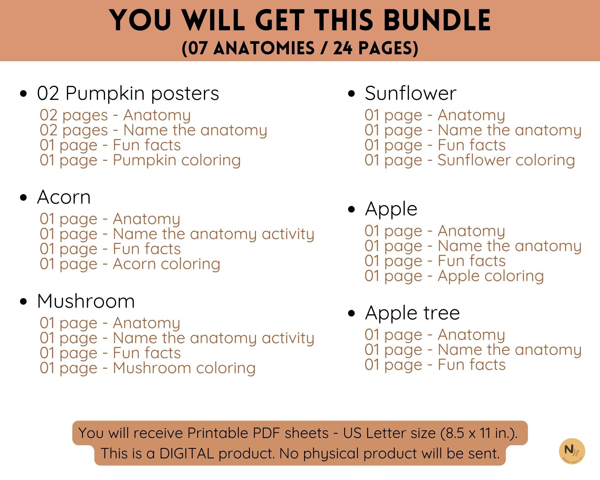 Fall Anatomy Posters Bundle: Pumpkin, Apple, Sunflower + More (PDF) - Etsy
