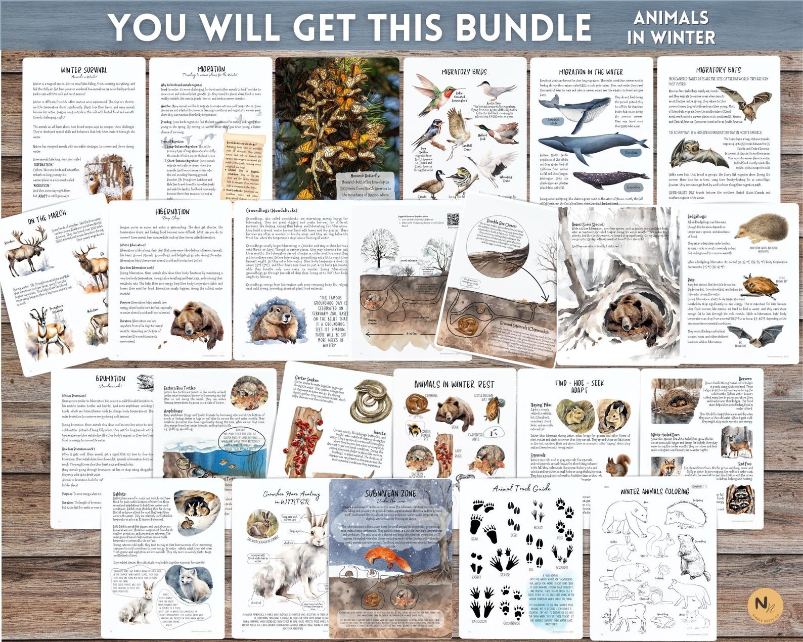 Winter Unit Study: Animals in Winter, Hibernation, Migration, Trees in ...