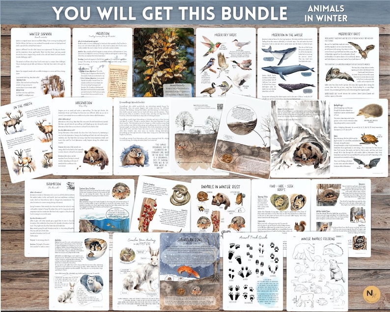 Winter Unit Study: Animals in Winter, Hibernation, Migration, Trees in ...