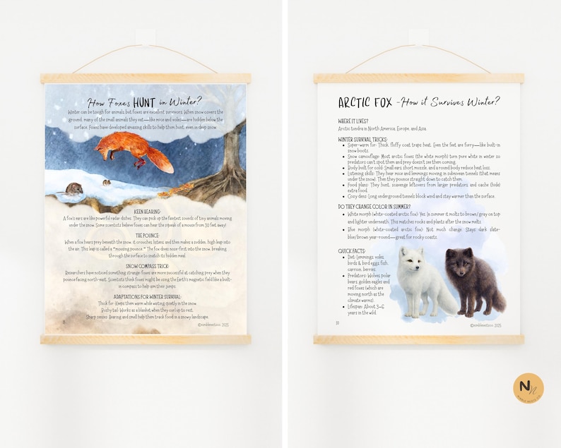 Fox Unit Study: Fox Anatomy, Red Fox Life Cycle, Fox Species Poster ...