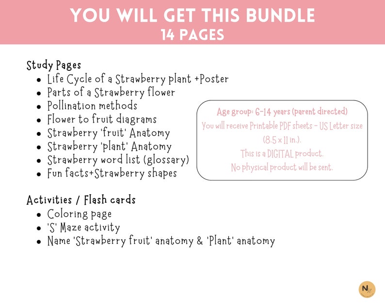 Strawberry MINI Study, Strawberry Life Cycle, Strawberry Anatomy ...