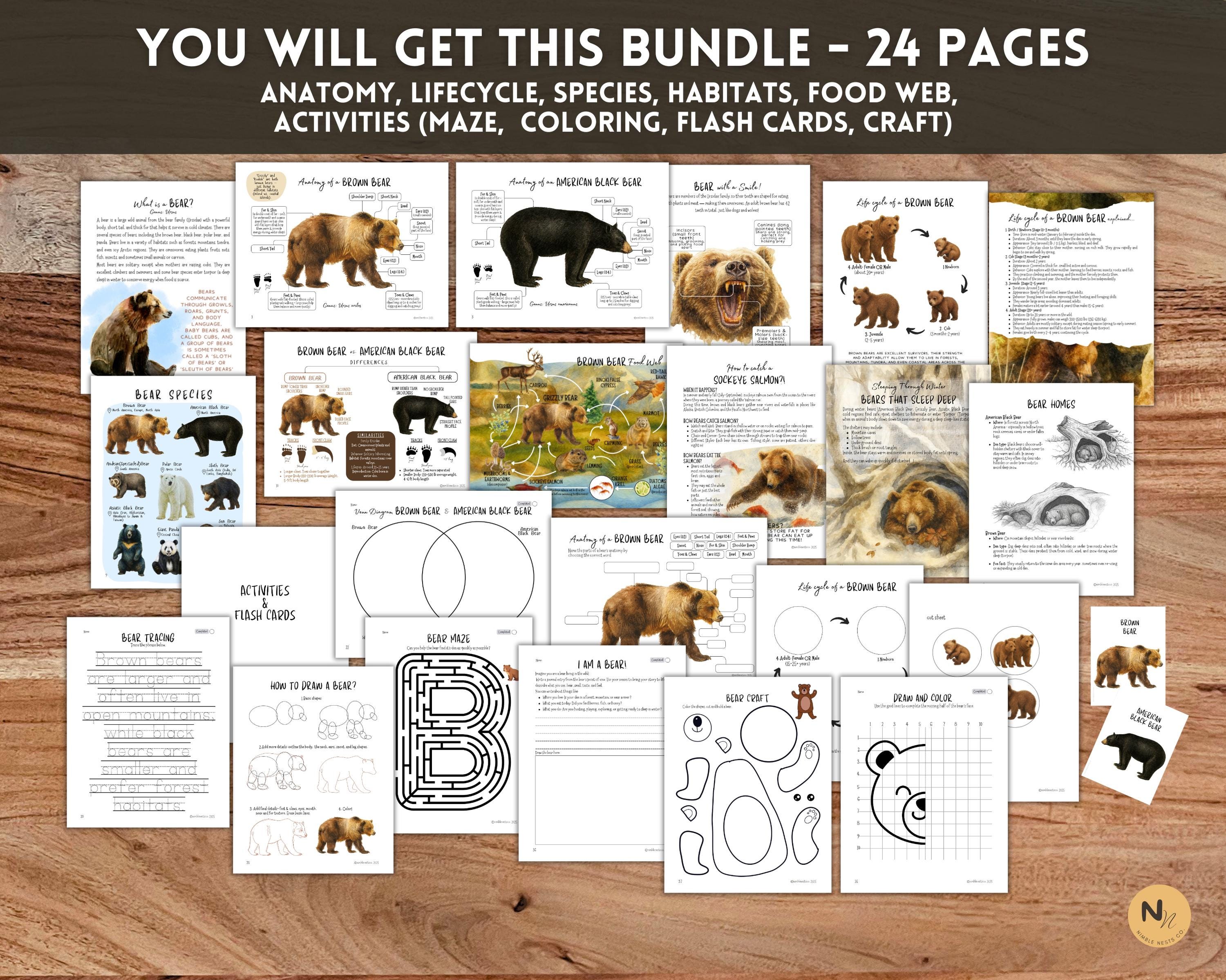 Grizzly Bear and Black Bear Mini Unit: Bear Anatomy & Lifecycle, Bear ...