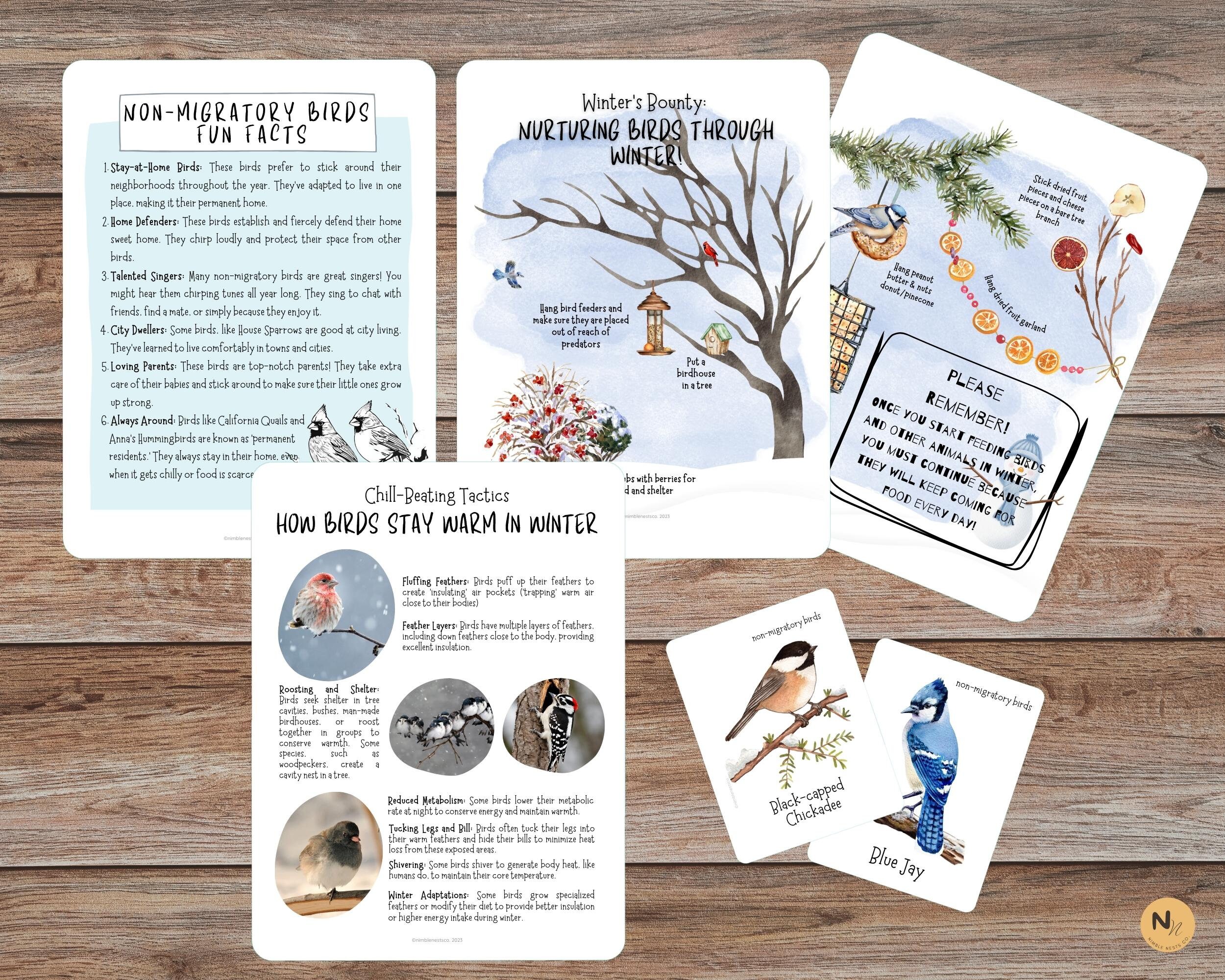 Birds in Winter, Birds Mini Study, Migratory Birds, Winter Birds ...