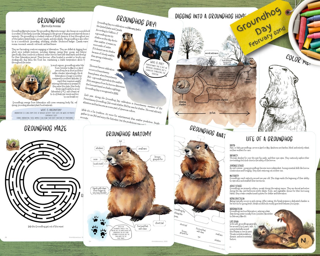 Groundhog Day Study,hibernation Unit Study,winter Animals Journal ...