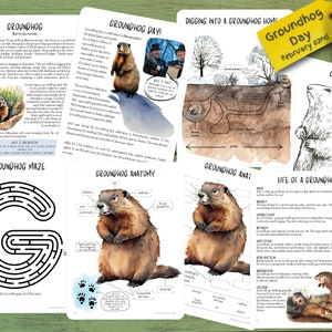 Groundhog Day Study,hibernation Unit Study,winter Animals Journal ...