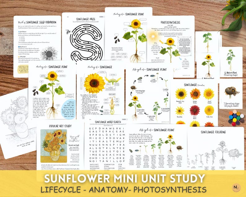 Sunflower Unit Study for Kids: Homeschool Science Activities (PDF ...