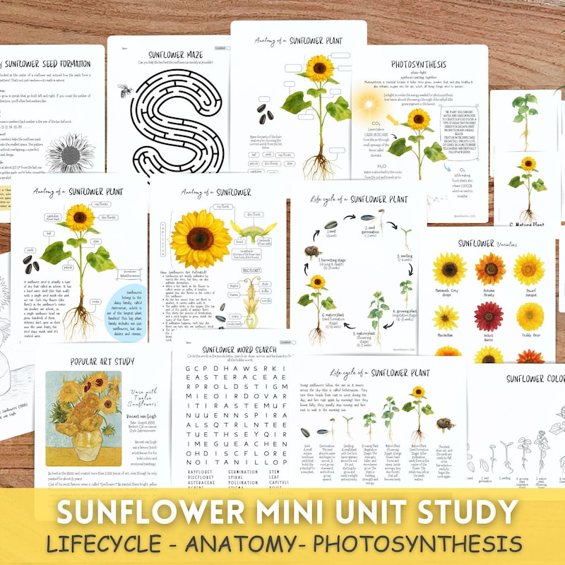 Science Unit Studies Fall - Etsy