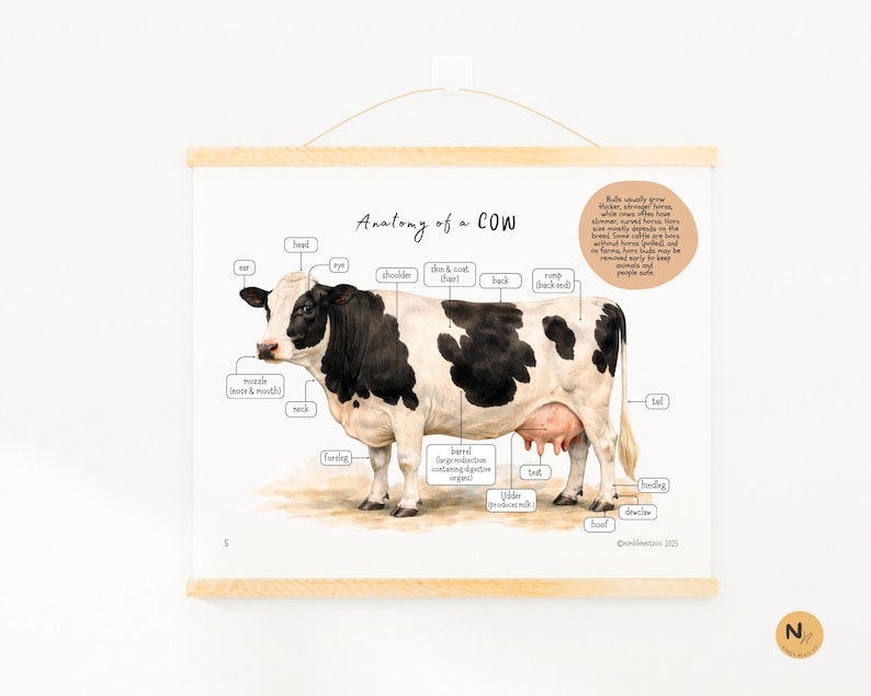 Farm Animals Unit Study PDF: Printable Farm Animal Life Cycles, Anatomy ...