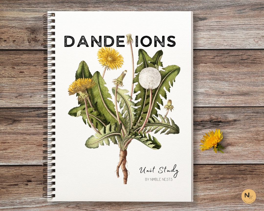 Dandelion Unit Study: Spring Homeschool Activity (PDF) - Etsy