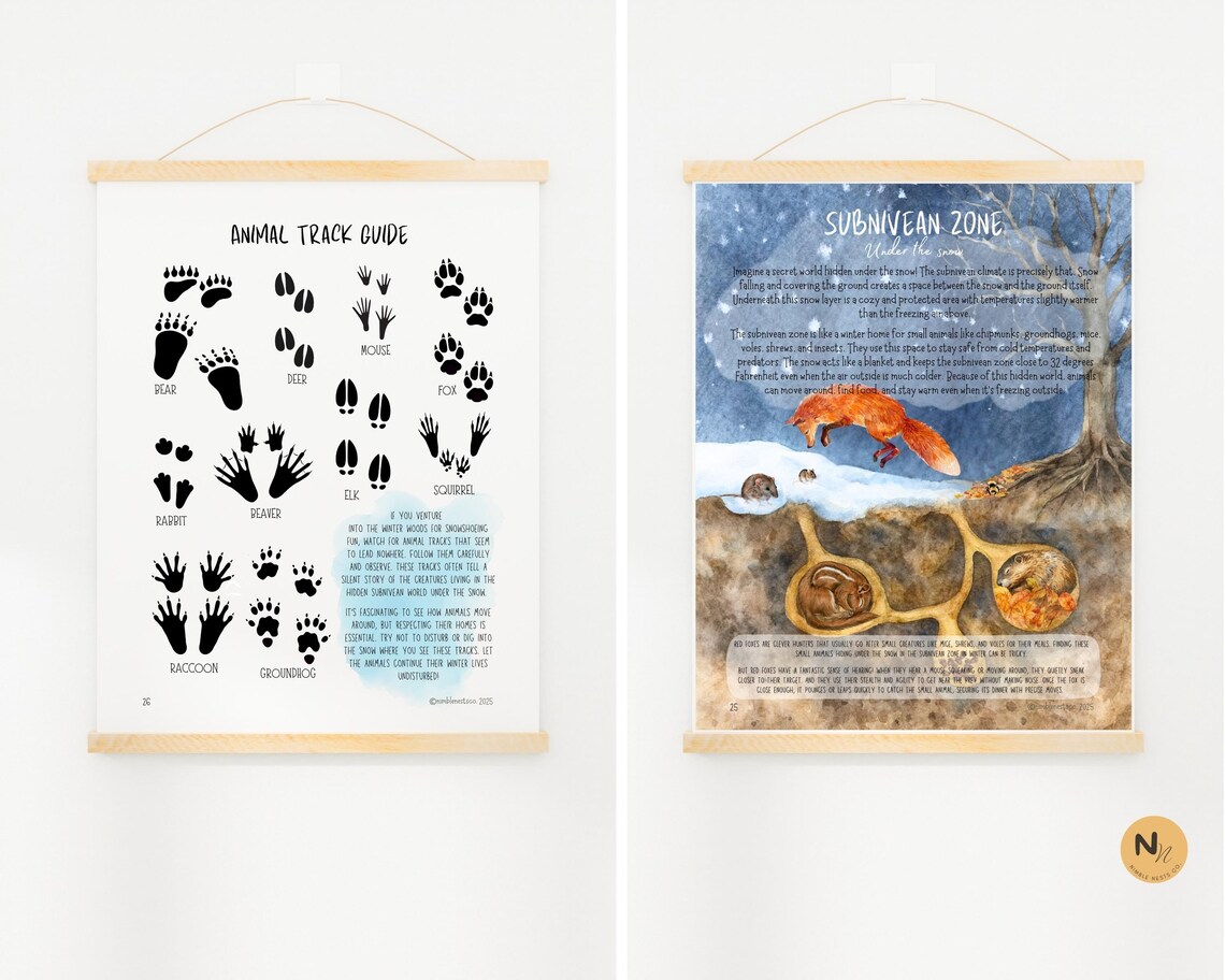 Winter Unit Study: Animals in Winter, Hibernation, Migration, Trees in ...