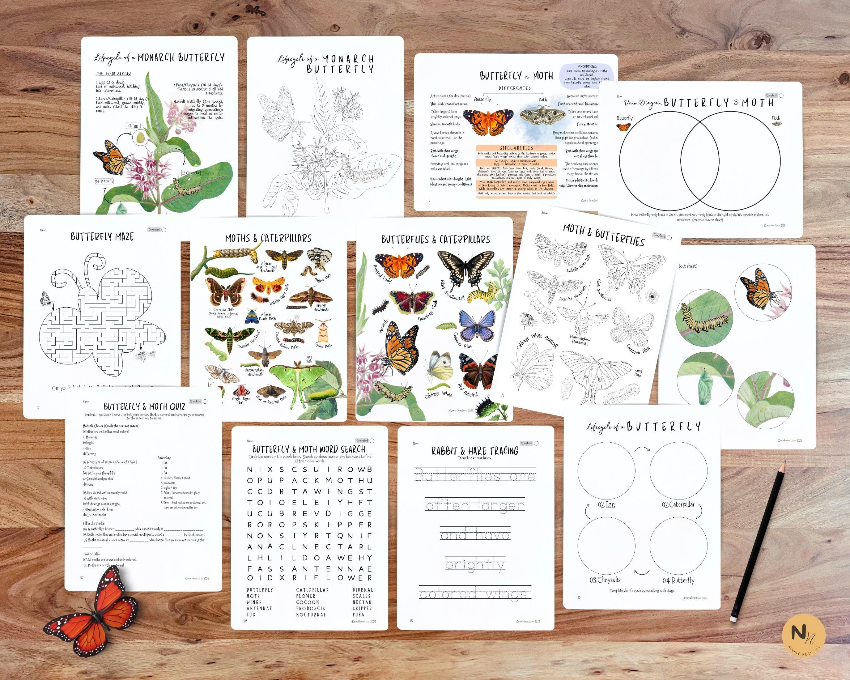 Butterfly & Moth Unit,butterfly Study,spring Homeschool Nature ...