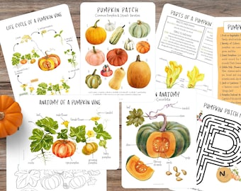 Parts of a Pumpkin and Parts of an Apple Bundle/pumpkin Anatomy/apple ...