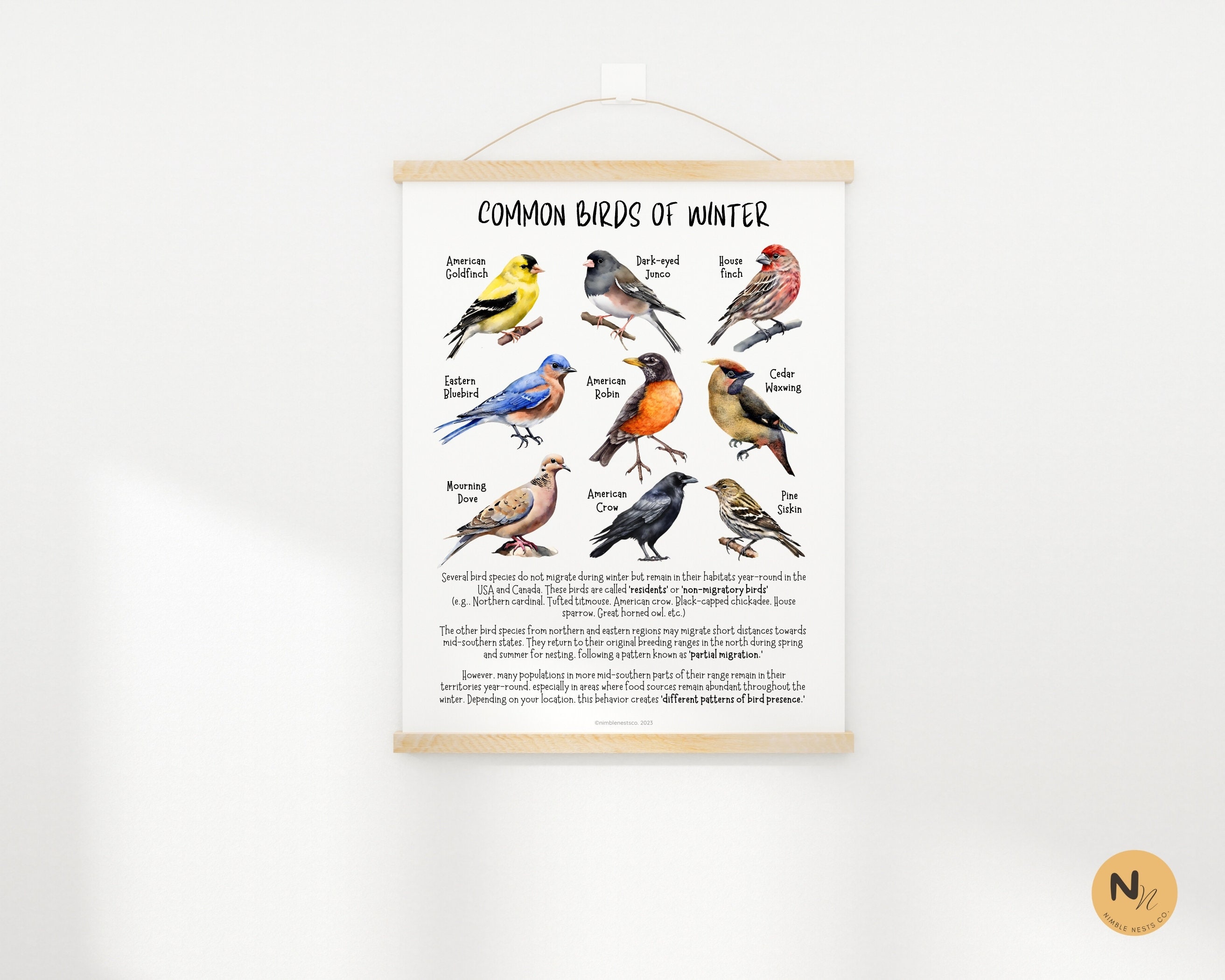 Birds in Winter, Birds Mini Study, Migratory Birds, Winter Birds ...