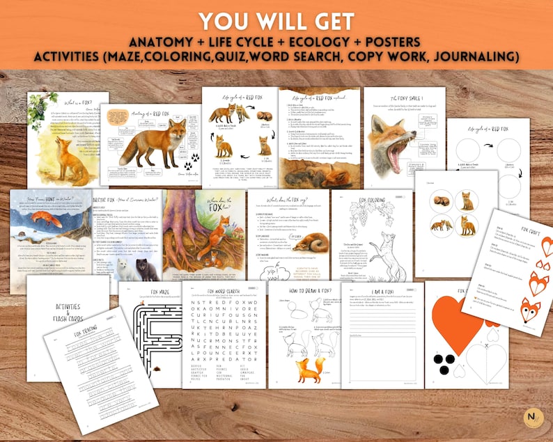 RED FOX Unit Study: Red Fox Anatomy, Life Cycle, Fall Activities for ...