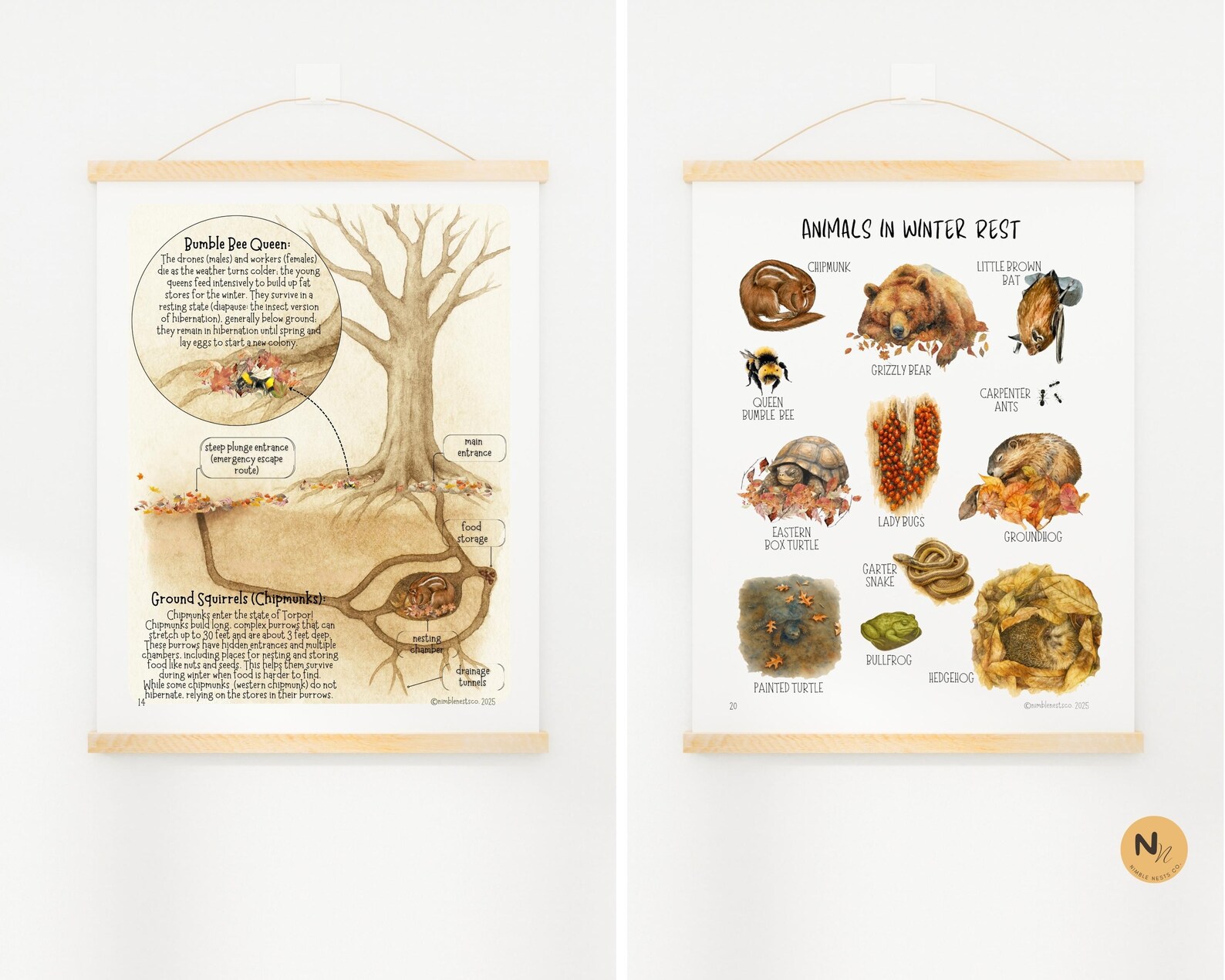 Winter Unit Study: Animals in Winter, Hibernation, Migration, Trees in ...