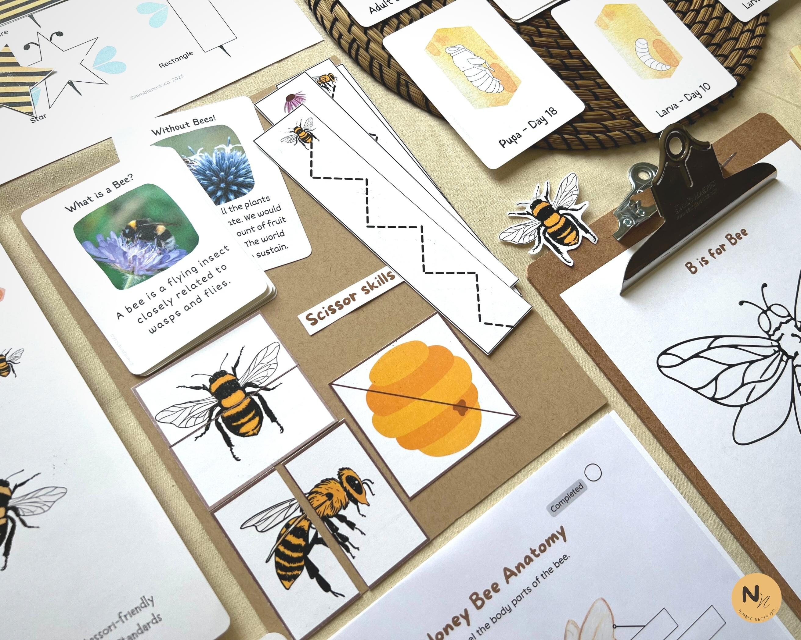 Bee Unit Study, Bees and Wildflowers Activity, Spring Activity Pack ...