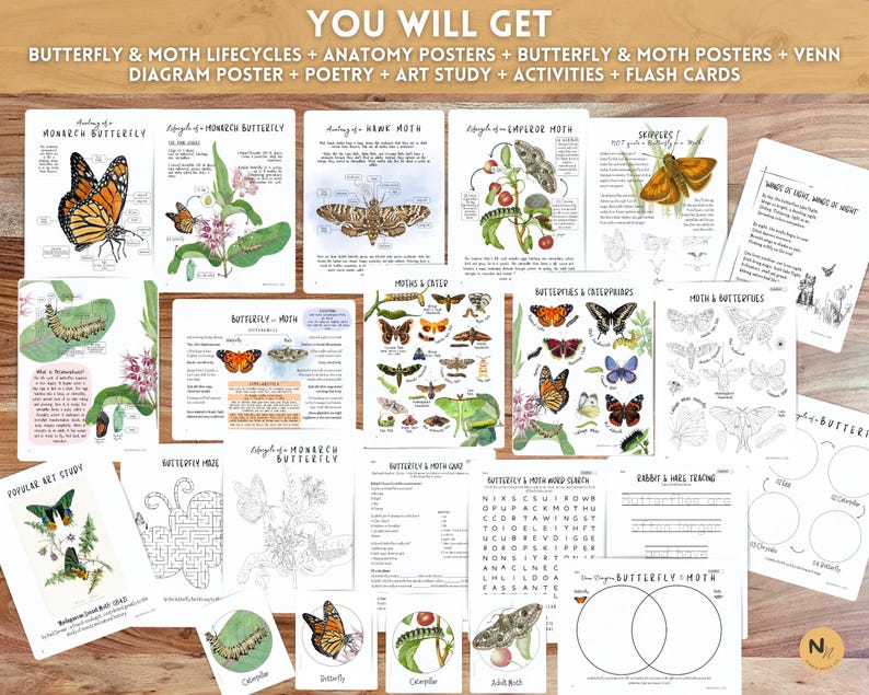 Butterfly & Moth Unit Study: Monarch, Anatomy, Lifecycle, Caterpillars ...