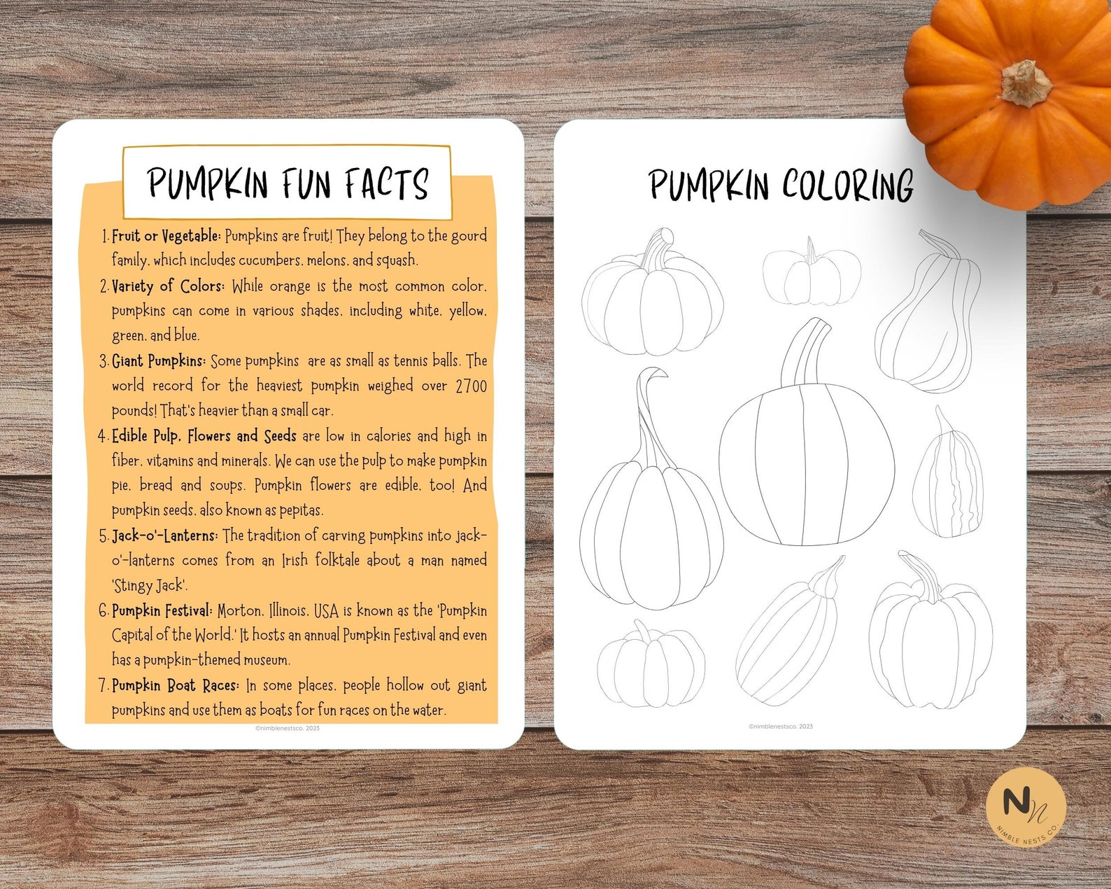 Pumpkin Study, Parts of a Pumpkin, Fall Homeschool, Fall Activity ...