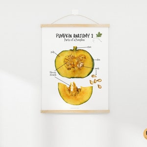 Pumpkin Anatomy Mini Study: Fall Activity for Kids (PDF) - Etsy