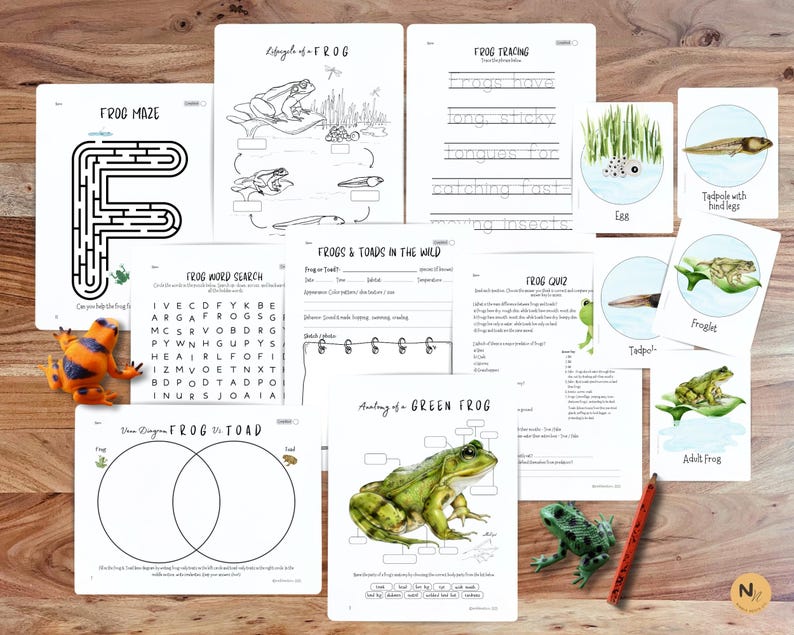 Frog & Toad Nature Study: Life Cycle, Anatomy (PDF) - Etsy