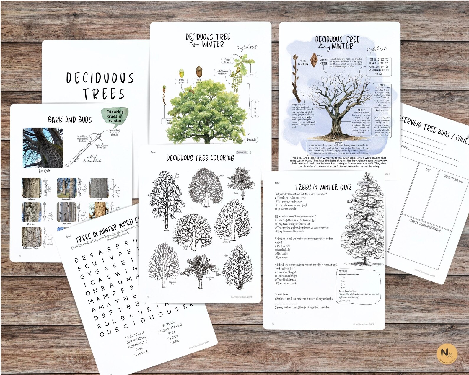 Winter Trees Mini Study, Tree Dormancy Study, Charlotte Mason Inspired ...