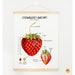 Strawberry Unit Study, Strawberry Anatomy, Strawberry Life Cycle,spring ...