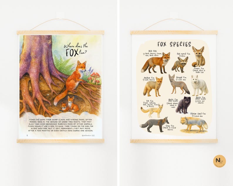 Fox Unit Study: Fox Anatomy, Red Fox Life Cycle, Fox Species Poster ...