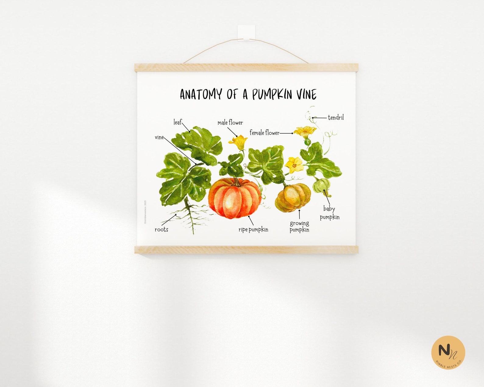 Pumpkin Study, Parts of a Pumpkin, Fall Homeschool, Fall Activity ...