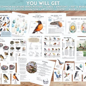 Bird Unit Study: Anatomy, Life Cycle, Backyard Birds (PDF) - Etsy