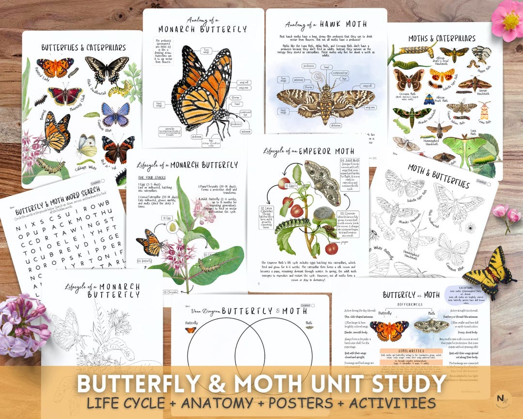 Butterfly & Moth Unit,butterfly Study,spring Homeschool Nature ...