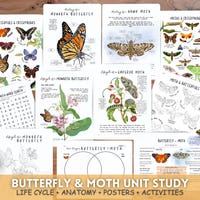 Monarch Butterfly Mini Unit Study - Etsy