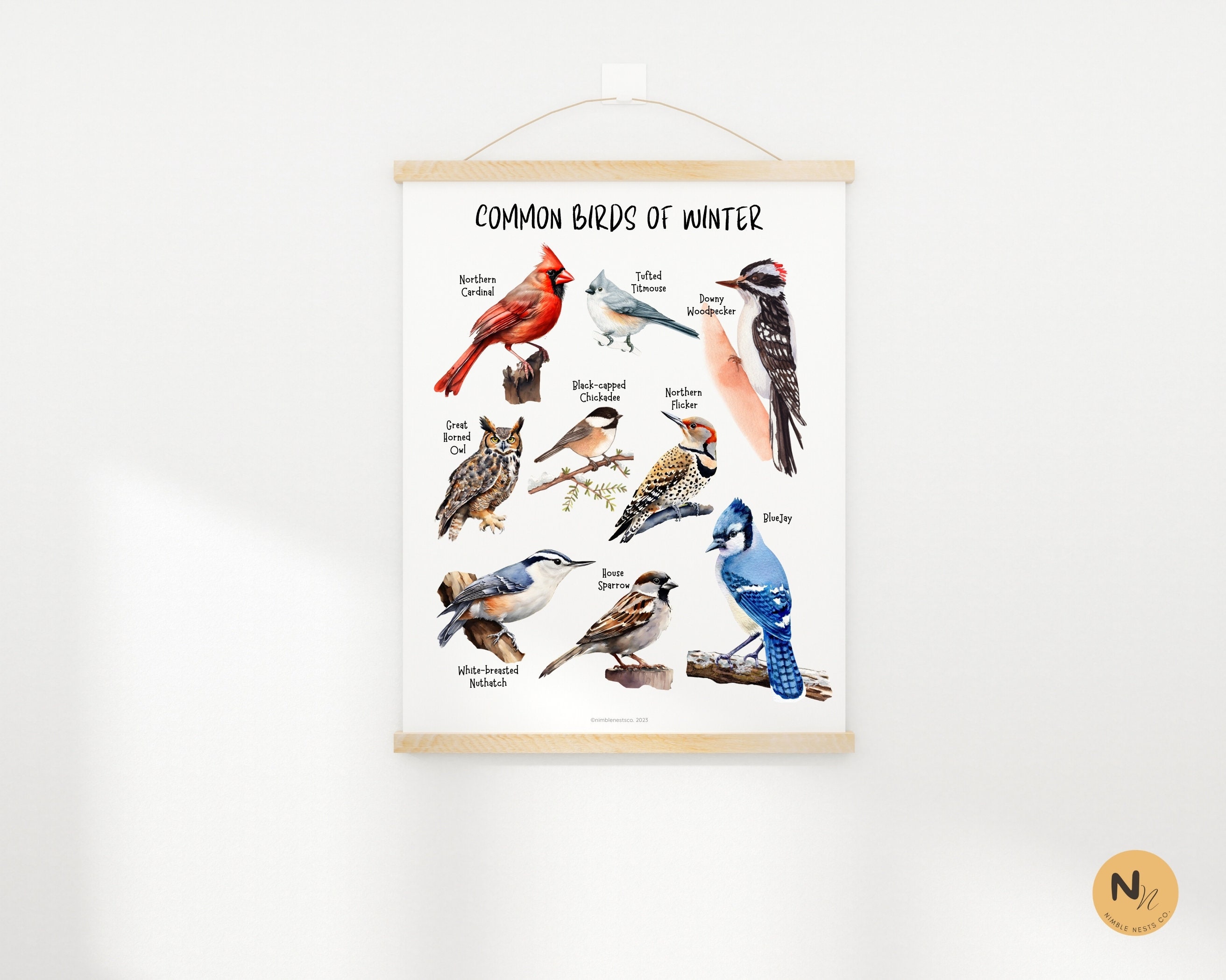 Birds in Winter, Birds Mini Study, Migratory Birds, Winter Birds ...