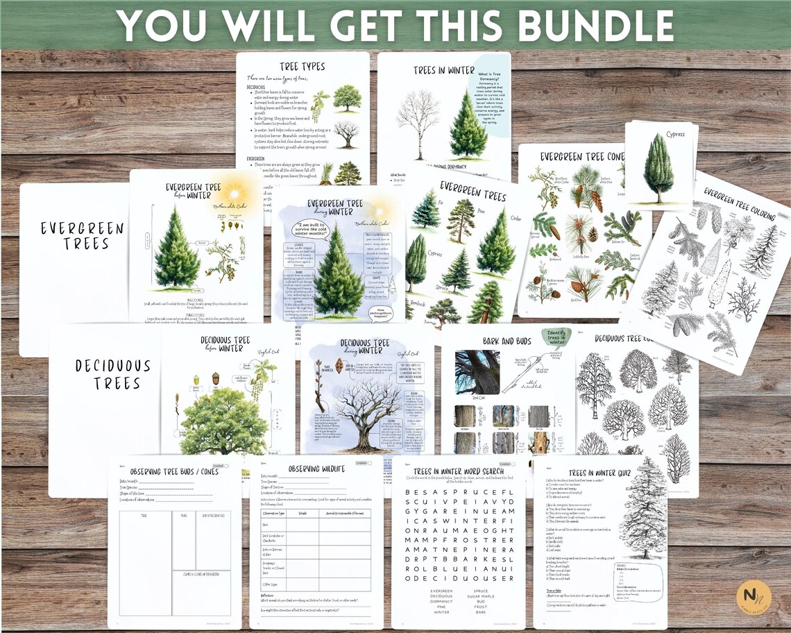 Winter Trees Mini Study, Tree Dormancy Study, Charlotte Mason Inspired ...