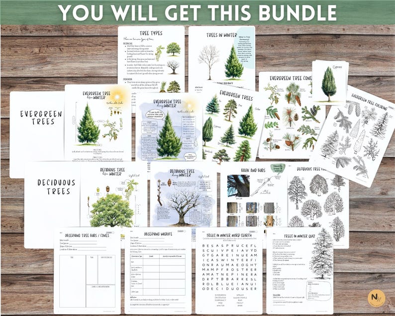 Winter Trees Mini Study, Tree Dormancy Study, Charlotte Mason Inspired ...