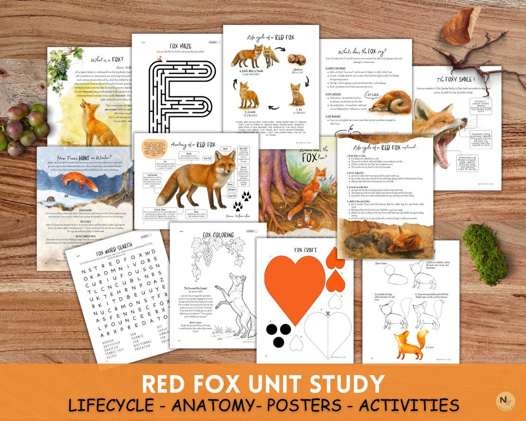 RED FOX Unit Study: Red Fox Anatomy, Life Cycle, Fall Activities for ...