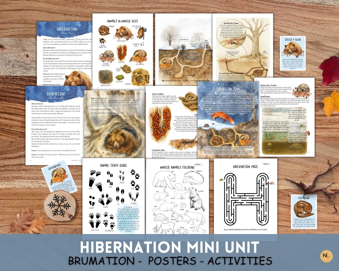Winter Hibernation Animals Study: Hibernating Animals, Brumation ...