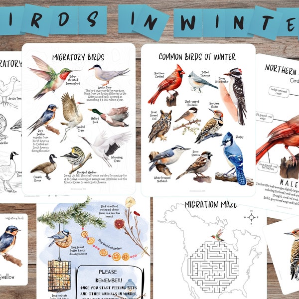 Winter Birds - Etsy