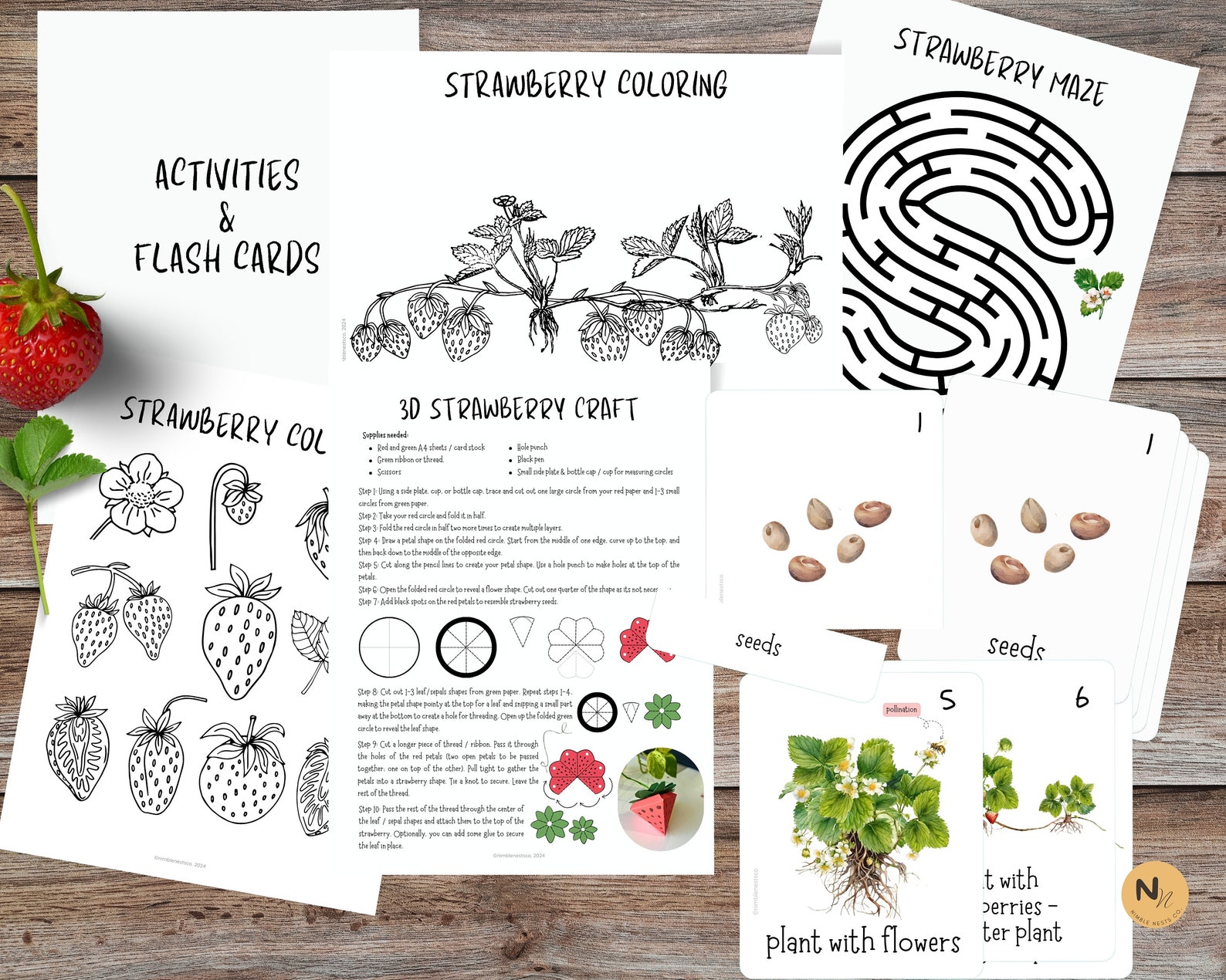 Strawberry Unit Study, Strawberry Anatomy, Strawberry Life Cycle,spring ...