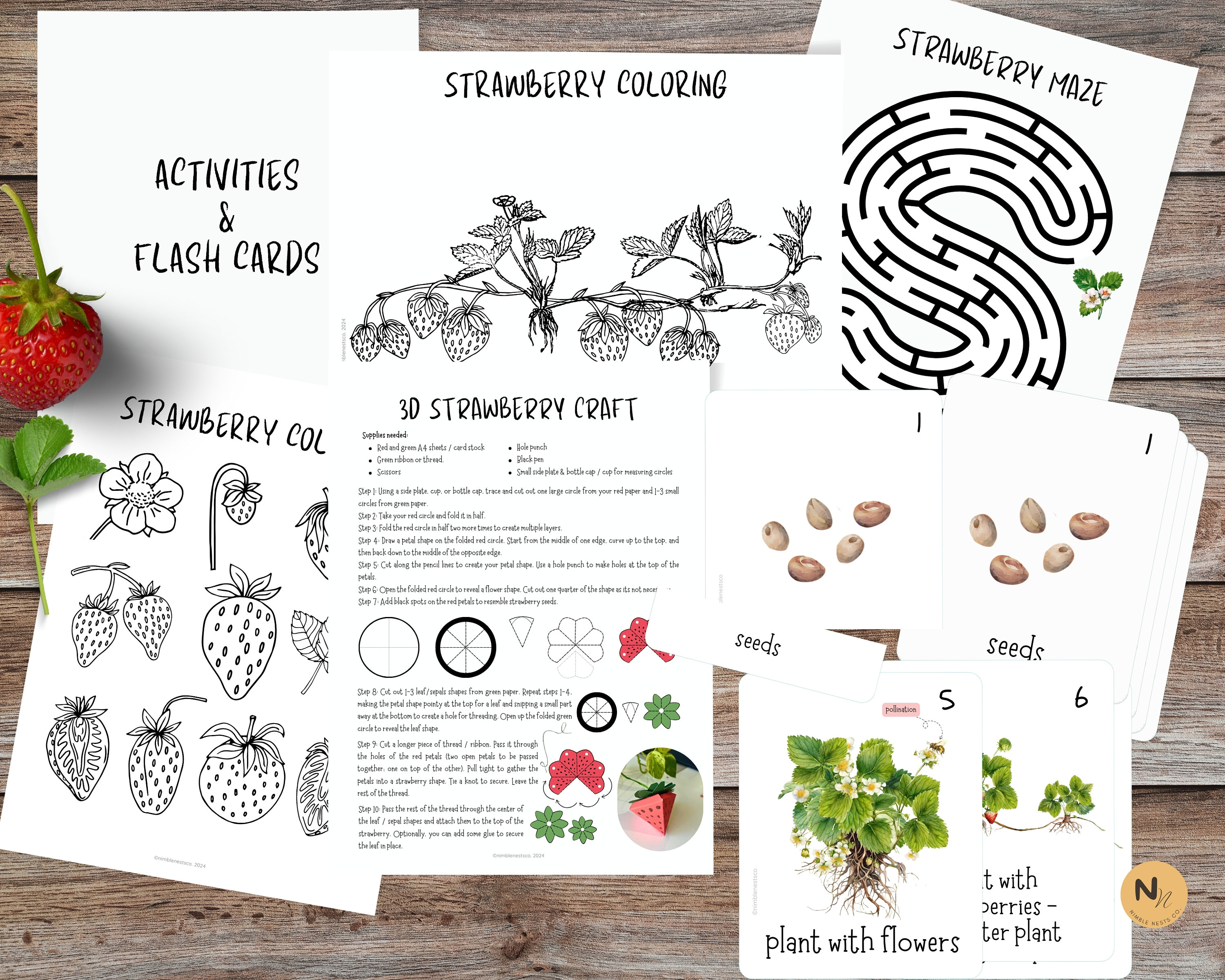Strawberry Unit Study, Strawberry Anatomy, Strawberry Life Cycle,spring ...