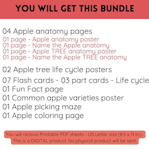 Apple Anatomy & Life Cycle Mini Study: Fall Kids Activity (PDF) - Etsy